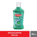 Enxaguante Bucal Colgate Plax Fresh Mint Zero Alcool 60ml - PanVel ...